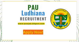 PAU Recruitment 2025- All Career Vacancies In Punjab Agricultural ...